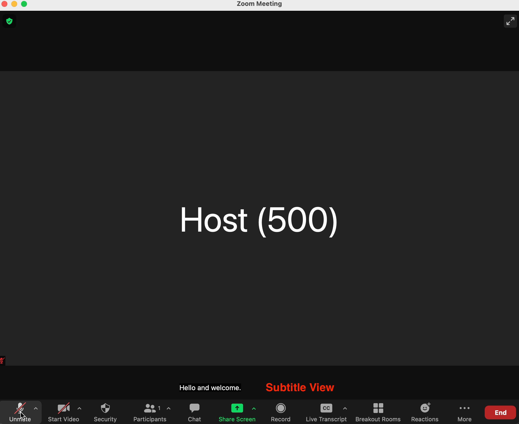 Enable Automatic or Manual Closed Captioning in Zoom – Pathable